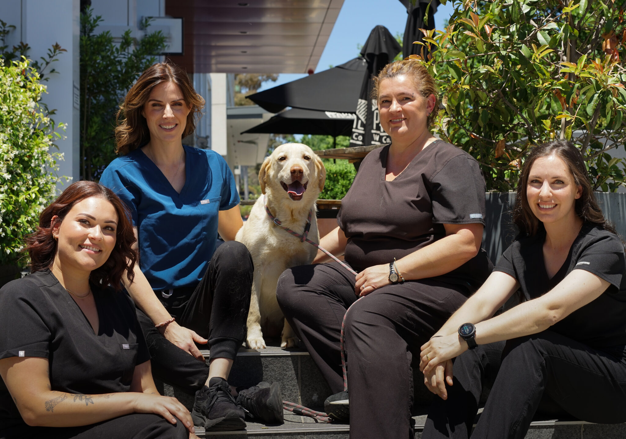 Veterinary Dermatology Clinic | NSW, VIC, ACT & TAS